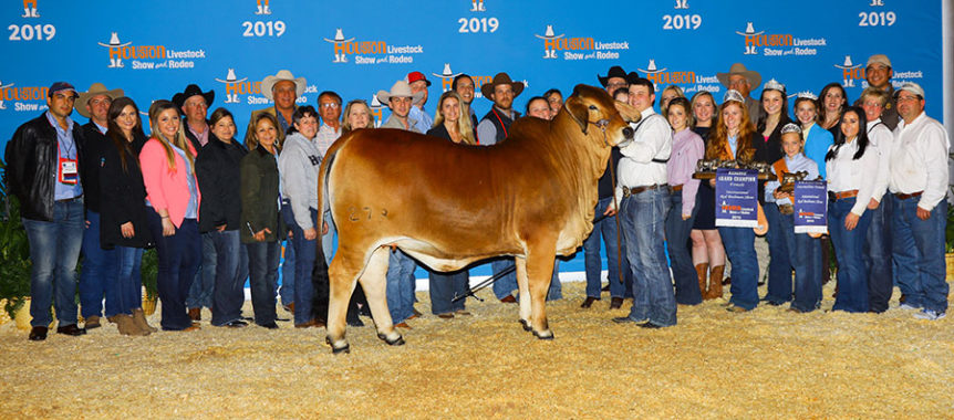Houston Recap - Watkins Cattle Company