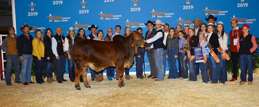 Houston Recap - Watkins Cattle Company